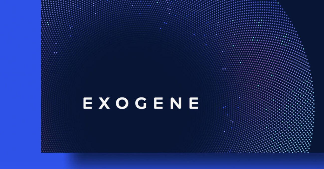 Exogene-branding - Boyko Taskov